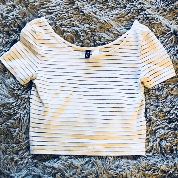 H&M | Tops | Hm Mesh Stripe Crop Top | Poshmark